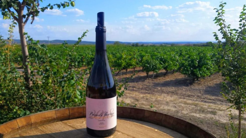 Utiel-Requena: Gorgeous Wineries, Hotels and Experiences in Spain's ...