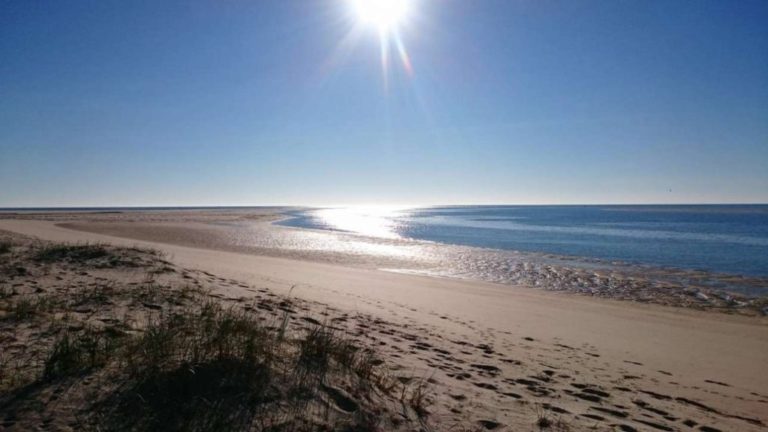 Faro To Armona - A Little Paradise In South of Portugal - Samira Holma