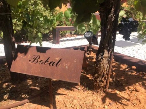 Utiel-Requena: Gorgeous Wineries, Hotels and Experiences in Spain's ...